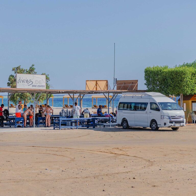 diving Abu Dabab | Deutsche Tauchbasis in Ägypten